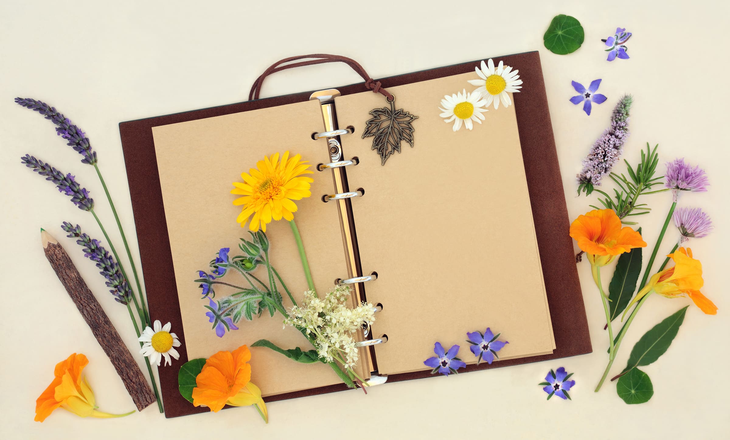 Journal Printing - Custom Journal Printing Company : Dazzle Printing